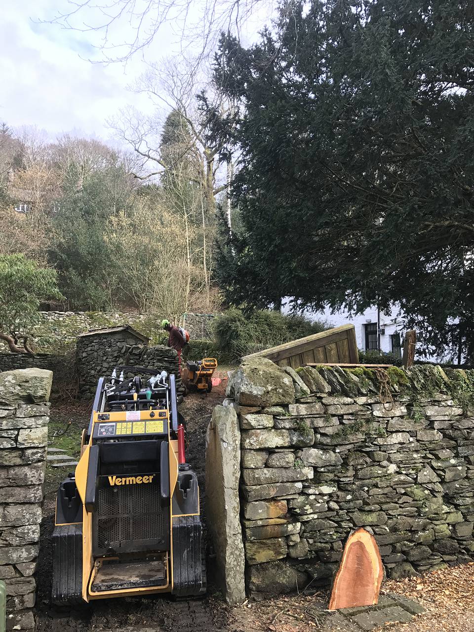 Timber extraction Keswick, timber extraction Cumbria - Precision Tree ...