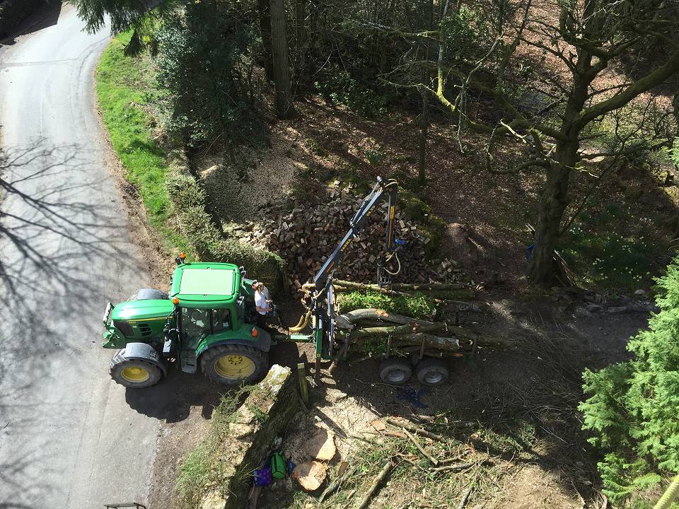 Timber extraction Keswick, timber extraction Cumbria - Precision Tree ...