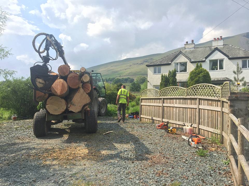 Timber extraction Keswick, timber extraction Cumbria - Precision Tree ...